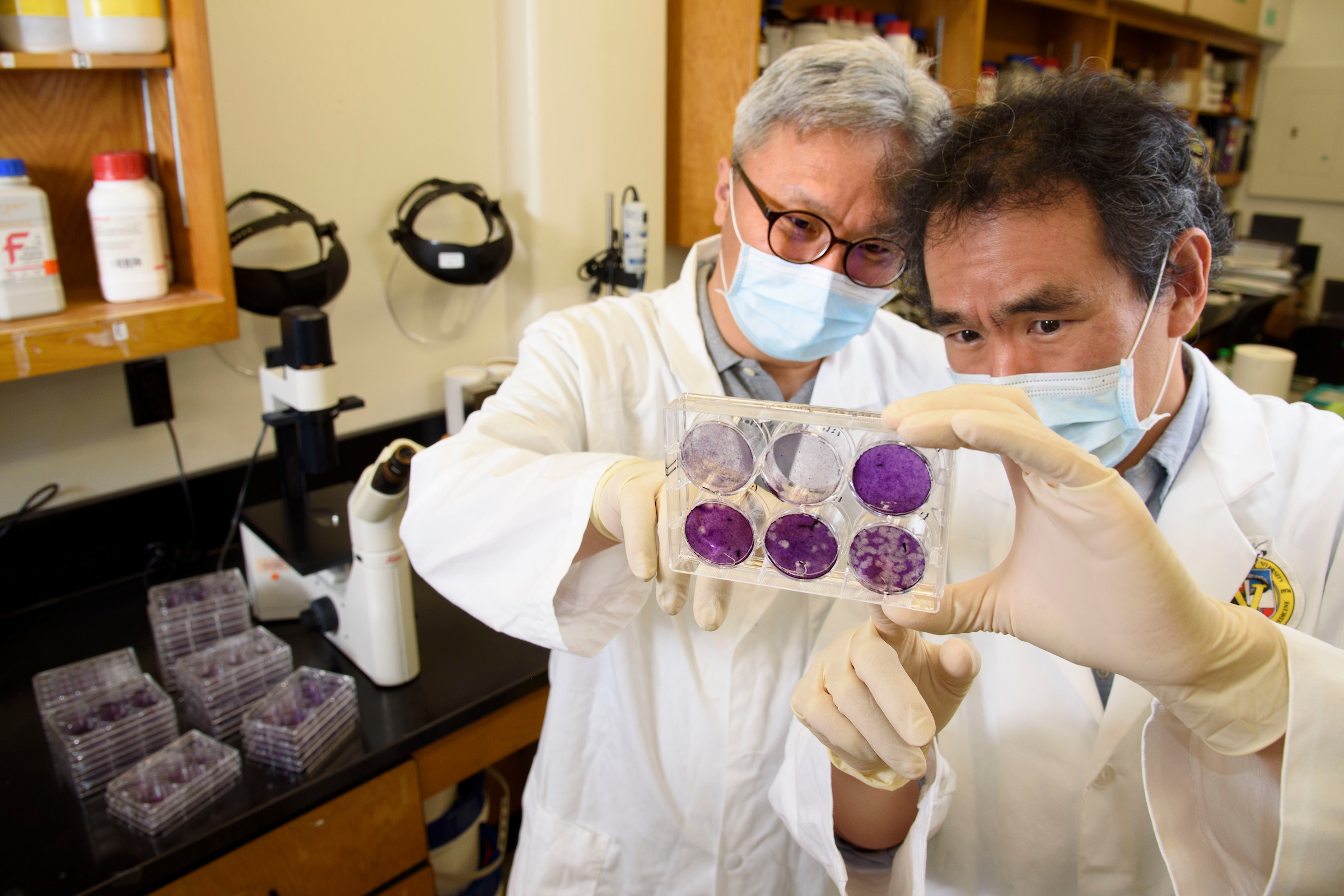 Office of Research & Graduate Studies | Vet Med